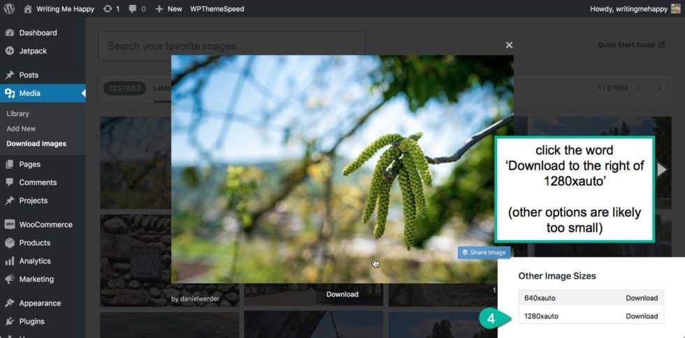 Simple Sweet free stock image plugins for wordpress